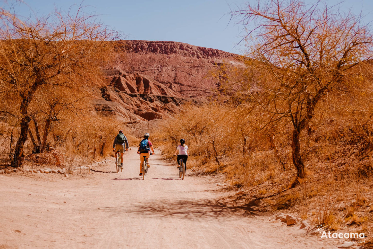 Bicicleta no Atacama: Garganta del Diablo em Tour de Bike